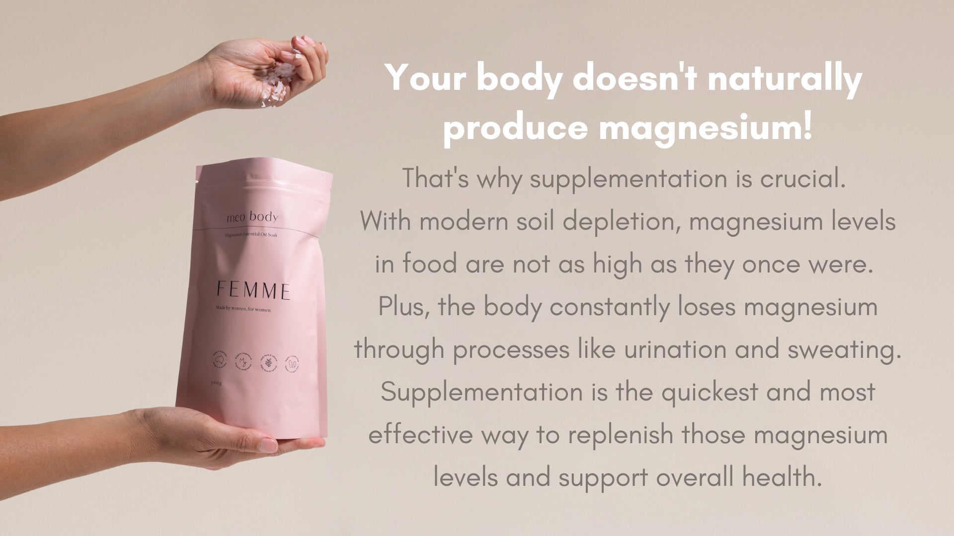 Dream Team | Meo Body